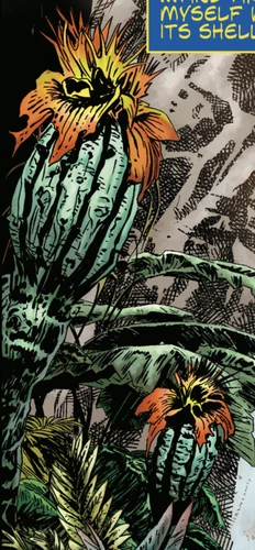 Thistle Bud | Avatar Wiki | Fandom