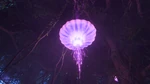 Panopyra | Avatar Wiki | Fandom