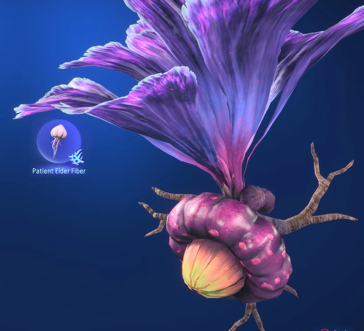 Patient Elder Fiber | Avatar Wiki | Fandom