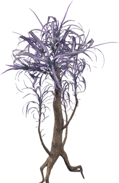 Night Leaf Tree | Avatar Wiki | Fandom