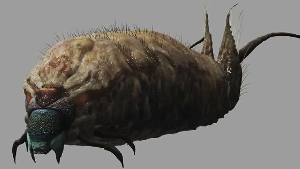 Teylu | Avatar Wiki | Fandom