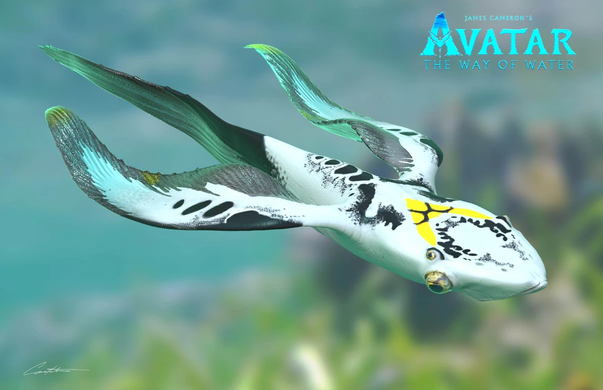 Angel Sperm | Avatar Wiki | Fandom