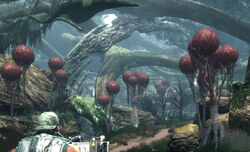 Puffball Tree | Avatar Wiki | Fandom