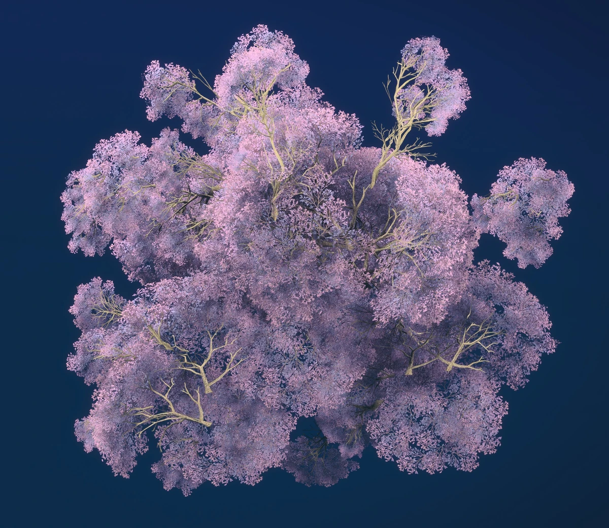 Billow Tree | Avatar Wiki | Fandom