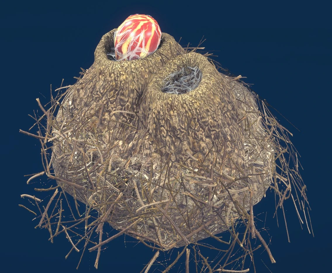 Coronis Nest | Avatar Wiki | Fandom