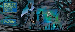Anurai Clan | Avatar Wiki | Fandom