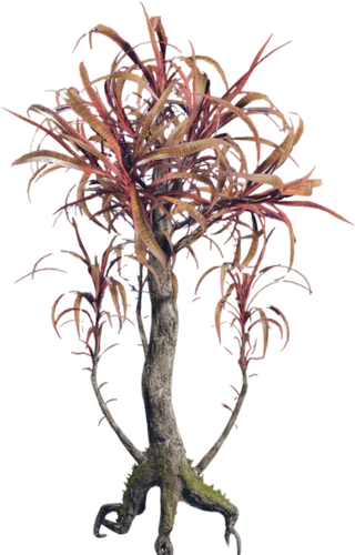 Dawnsheen Tree | Avatar Wiki | Fandom