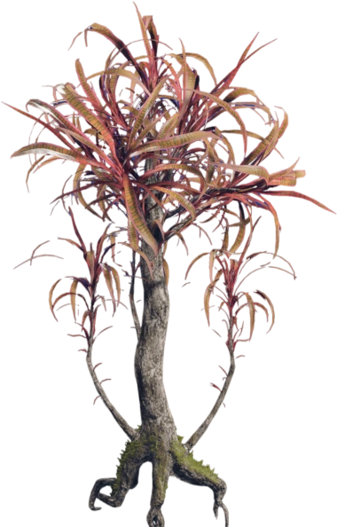 Dawnsheen Tree | Avatar Wiki | Fandom