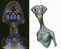 Na'vi | Avatar Wiki | Fandom