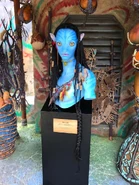 Windtraders (store) | Avatar Wiki | Fandom