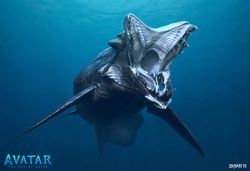 Pandora Concepts Of Animal