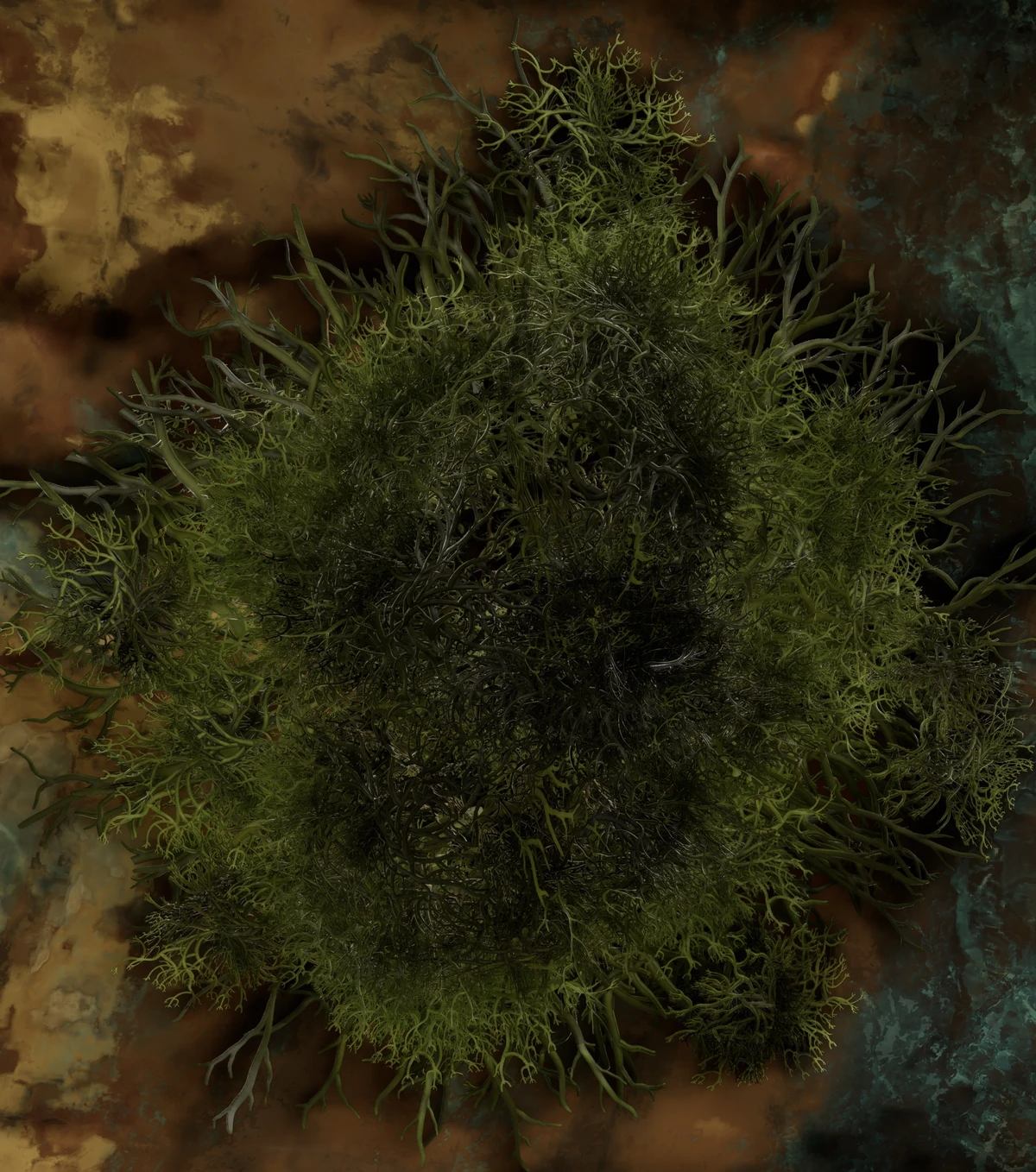 Creeping Moss | Avatar Wiki | Fandom