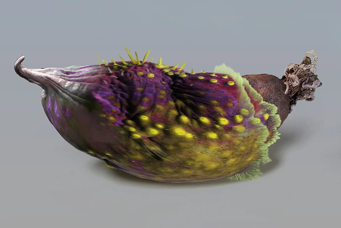 Banana Fruit | Avatar Wiki | Fandom