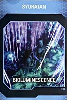 Na'vi Translator | Avatar Wiki | Fandom