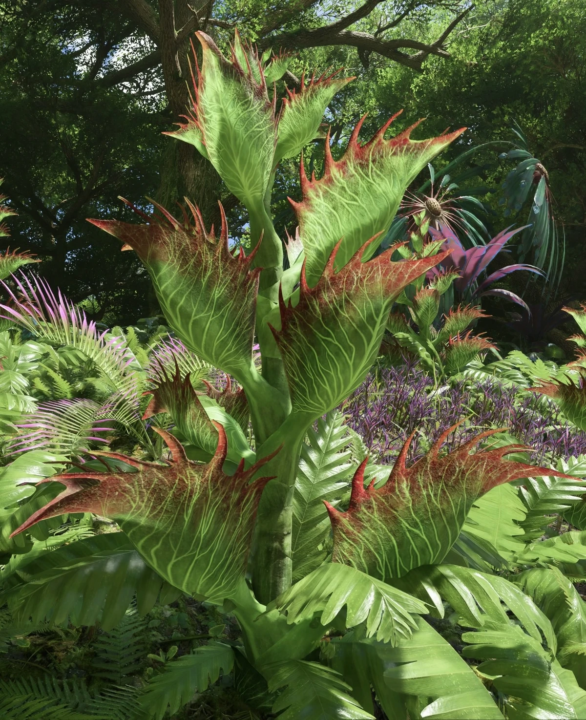 Binary Sunshine | Avatar Wiki | Fandom