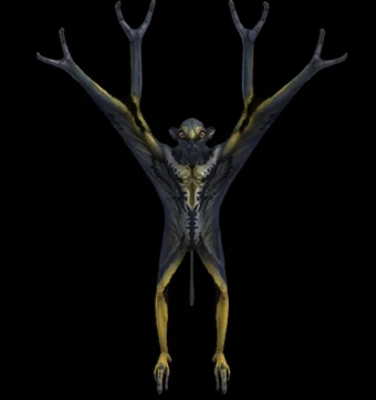 Prolemuris | Avatar Wiki | Fandom