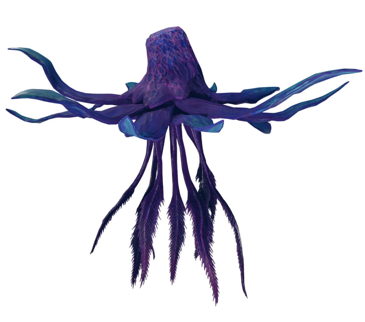 Canyon Coiling Sunshine | Avatar Wiki | Fandom