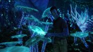 Bioluminescence | Avatar Wiki | Fandom