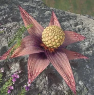 Cloud Spitter | Avatar Wiki | Fandom