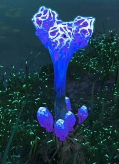 Sage Mushroom | Avatar Wiki | Fandom