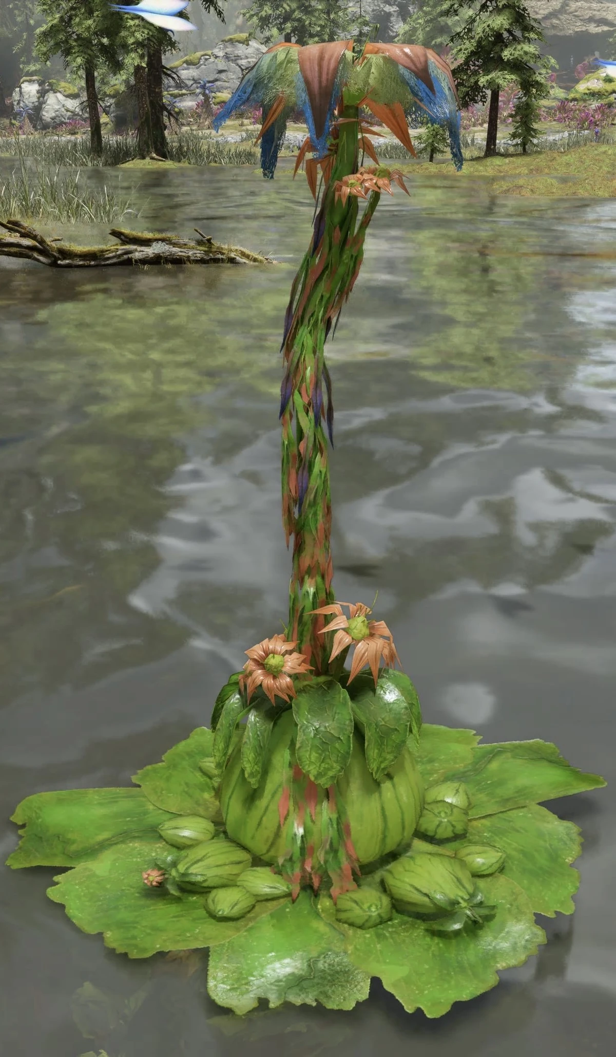 Clouded Lily | Avatar Wiki | Fandom