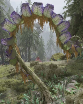 Bow Fern | Avatar Wiki | Fandom