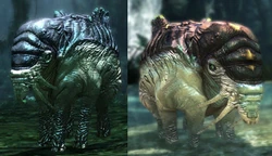 Tapirus | Avatar Wiki | Fandom