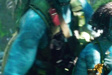 highlander dark quickening