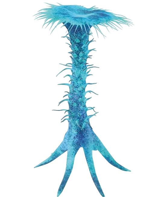 Anemonid | Avatar Wiki | Fandom
