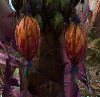 Shelter Fruit | Avatar Wiki | Fandom
