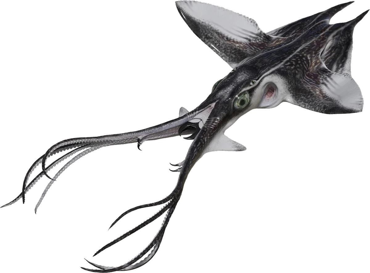 Southern Squidray | Avatar Wiki | Fandom