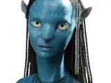 Category:Na'vi | Avatar Wiki | Fandom