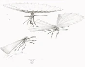 Fan Lizard | Avatar Wiki | Fandom