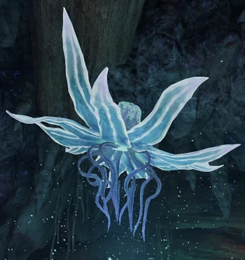 Coiling Sunshine | Avatar Wiki | Fandom