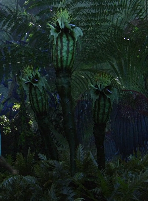 Thistle Bud | Avatar Wiki | Fandom