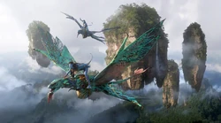 Seze | Avatar Wiki | Fandom