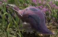Platebacked Lizard | Avatar Wiki | Fandom