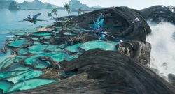 Awa'atlu | Avatar Wiki | Fandom