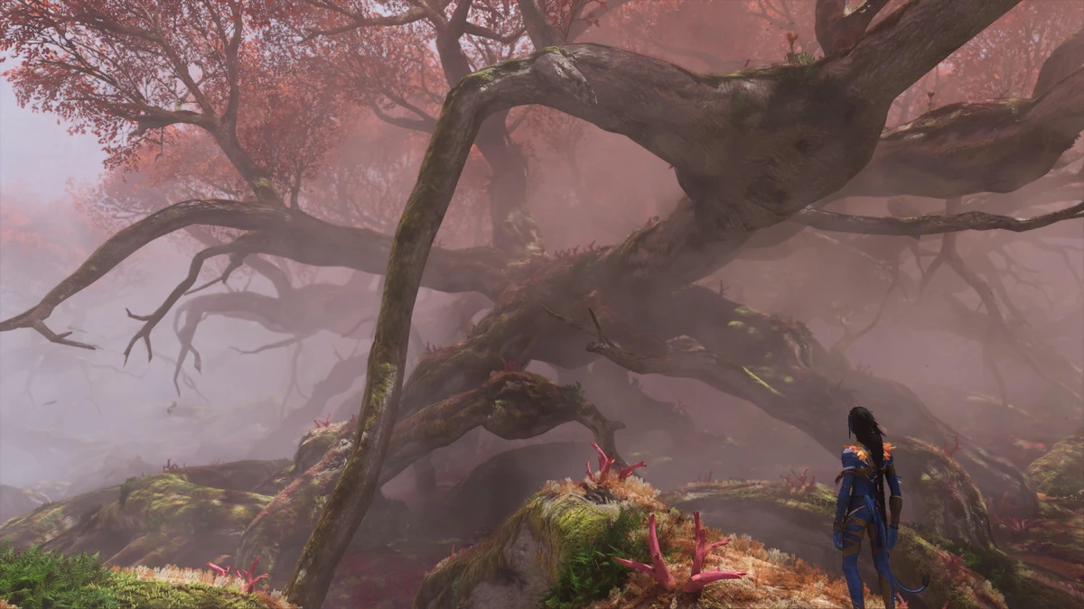 Braided Crimson Tree | Avatar Wiki | Fandom