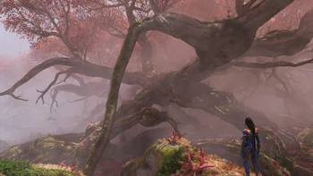 Braided Crimson Tree | Avatar Wiki | Fandom