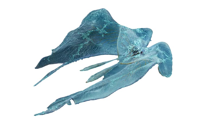 Gill Mantle | Avatar Wiki | Fandom