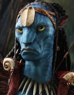 Clan Leader | Avatar Wiki | Fandom