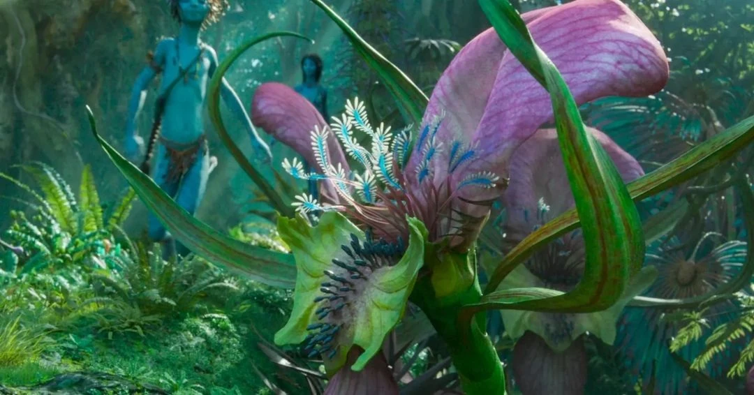Mantis Orchid | Avatar Wiki | Fandom