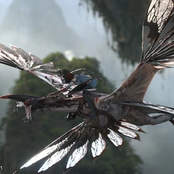 Flying Animals In Avatar