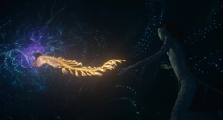 Tulkun | Avatar Wiki | Fandom