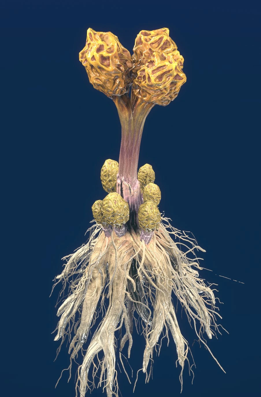 Dado Shroom | Avatar Wiki | Fandom