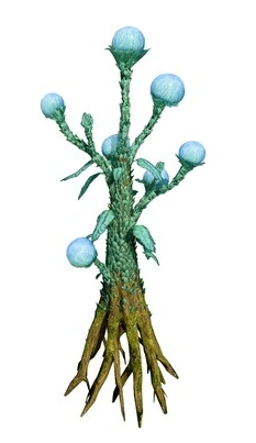 Fountain Tree | Avatar Wiki | Fandom