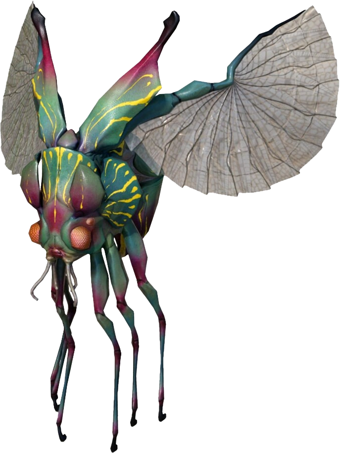 Moonscarab | Avatar Wiki | Fandom