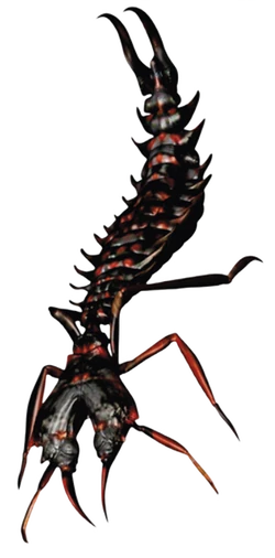 Arachnoid | Avatar Wiki | Fandom