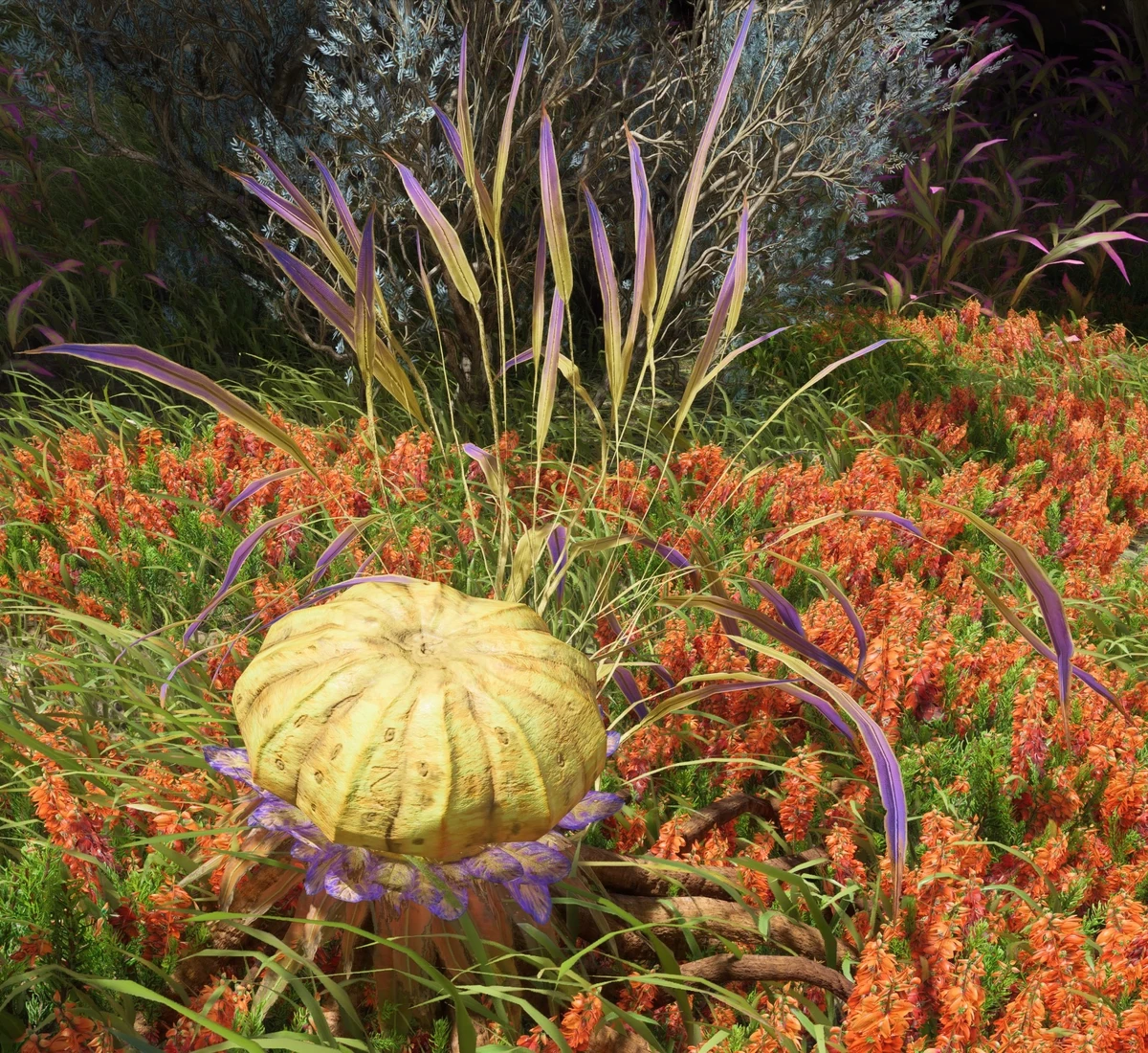 Balloon Grass | Avatar Wiki | Fandom